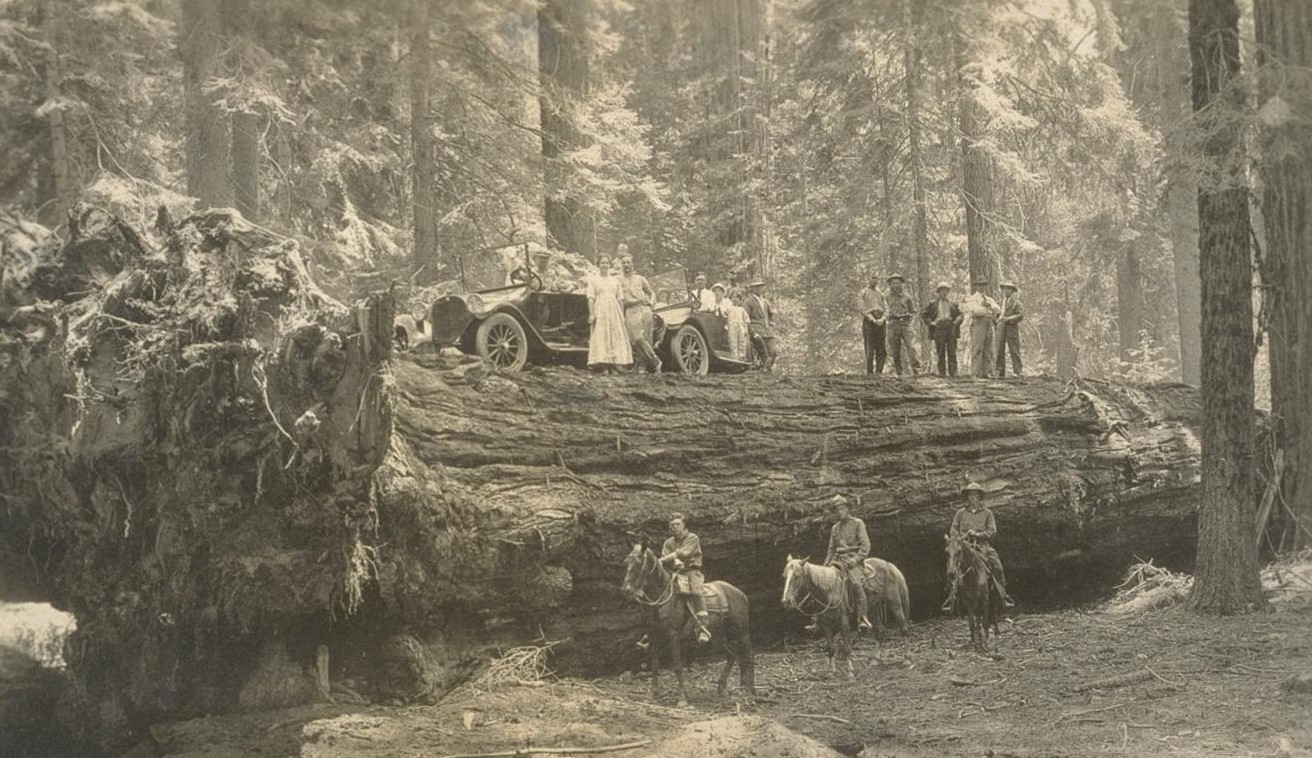 23- The Auto Log Giant Forest (2) - The Chamberlain Story